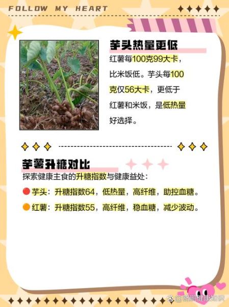 芋头热量高还是红薯热量高_减肥选哪个-第3张图片-山城妙识 芋头热量高还是红薯热量高_减肥选哪个-第3张图片-山城妙识