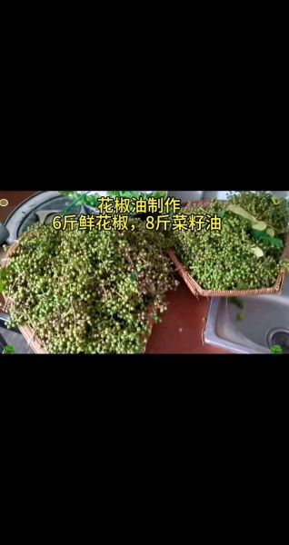 干花椒怎么熬花椒油_花椒油熬多久才香-第1张图片-山城妙识