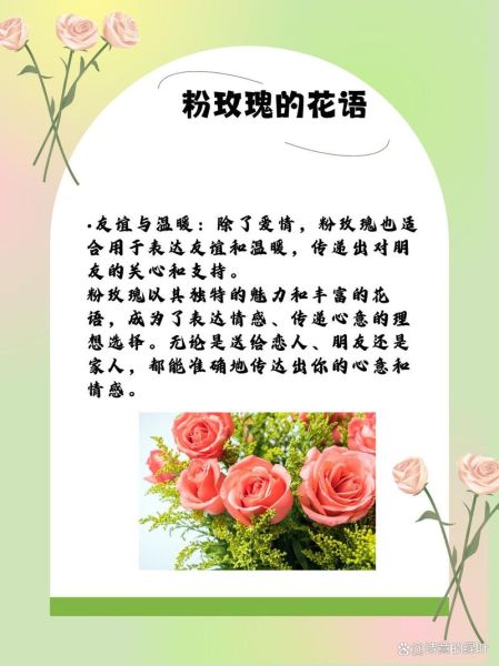 玫瑰花语颜色代表什么_不同颜色玫瑰含义-第2张图片-山城妙识 玫瑰花语颜色代表什么_不同颜色玫瑰含义-第2张图片-山城妙识