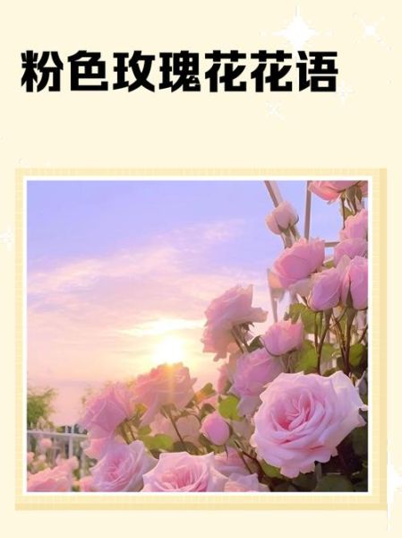 玫瑰花语颜色代表什么_不同颜色玫瑰含义-第3张图片-山城妙识 玫瑰花语颜色代表什么_不同颜色玫瑰含义-第3张图片-山城妙识