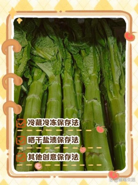 春笋怎么保存时间长_春笋可以放多久-第2张图片-山城妙识 春笋怎么保存时间长_春笋可以放多久-第2张图片-山城妙识