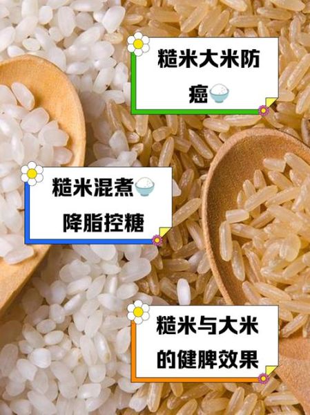 糙米怎么读_糙米和大米区别-第3张图片-山城妙识 糙米怎么读_糙米和大米区别-第3张图片-山城妙识