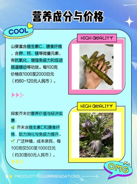 芥末植物长什么样_芥末和山葵的区别-第3张图片-山城妙识 芥末植物长什么样_芥末和山葵的区别-第3张图片-山城妙识