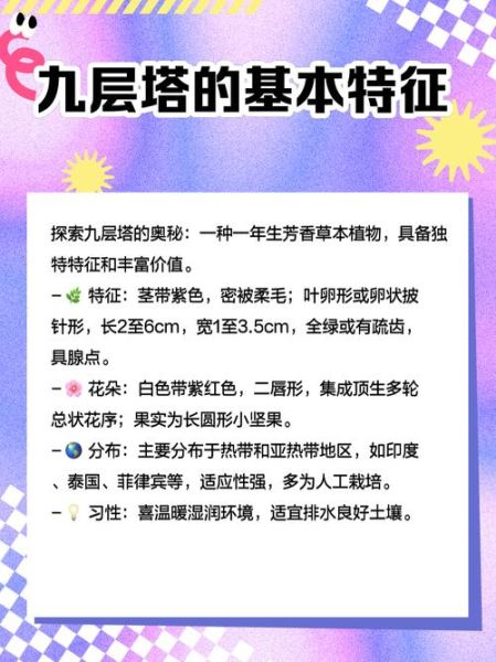 九层塔怎么种_九层塔什么时候播种-第2张图片-山城妙识 九层塔怎么种_九层塔什么时候播种-第2张图片-山城妙识