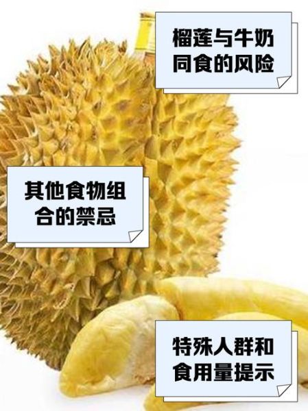 吃榴莲不能和什么一起吃_吃榴莲的禁忌有哪些-第1张图片-山城妙识 吃榴莲不能和什么一起吃_吃榴莲的禁忌有哪些-第1张图片-山城妙识