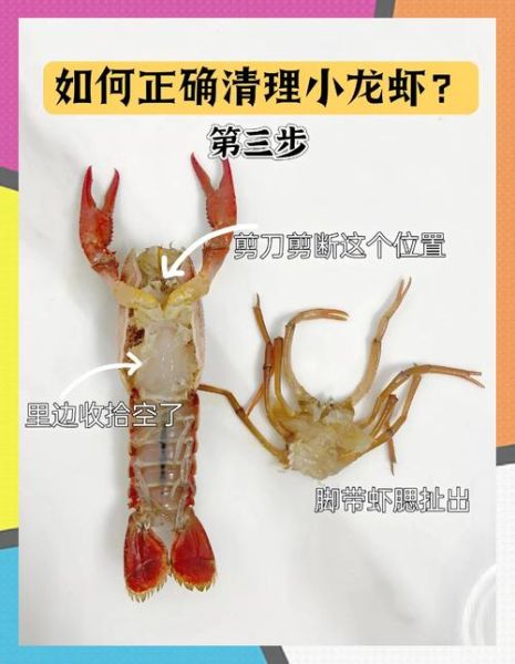 龙虾怎么清洗_龙虾怎么处理最干净-第1张图片-山城妙识