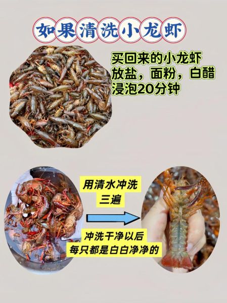 龙虾怎么清洗_龙虾怎么处理最干净-第3张图片-山城妙识