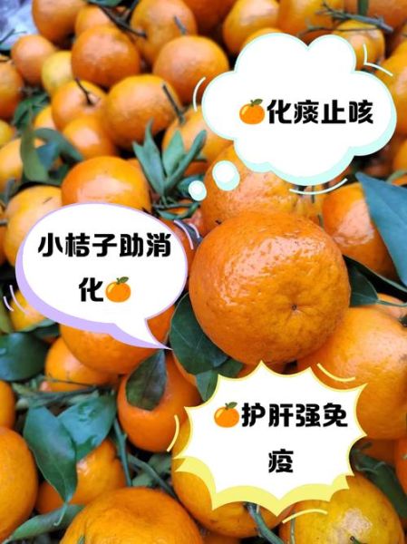 柑子的功效与作用_柑子能减肥吗-第3张图片-山城妙识
