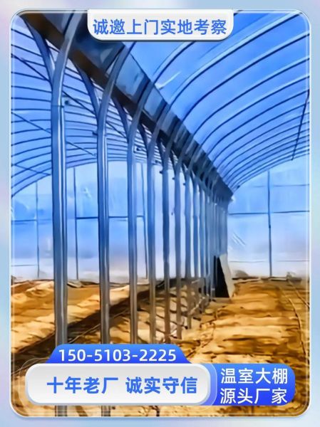 蔬菜大棚钢架价格包工包料多少钱_如何计算每平米造价-第2张图片-山城妙识