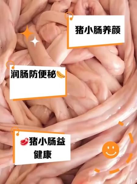 猪小肠的功效与作用_猪小肠怎么吃最营养-第3张图片-山城妙识 猪小肠的功效与作用_猪小肠怎么吃最营养-第3张图片-山城妙识