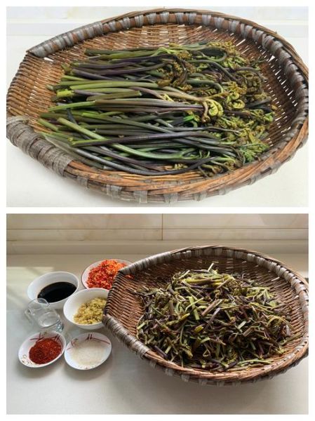 泡蕨菜怎么泡才脆_泡蕨菜的做法大全-第3张图片-山城妙识 泡蕨菜怎么泡才脆_泡蕨菜的做法大全-第3张图片-山城妙识