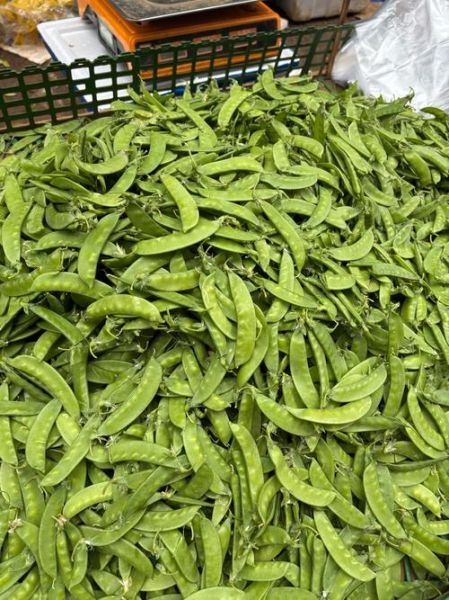 豌豆荚历史版本怎么下载_豌豆荚旧版去哪找-第1张图片-山城妙识 豌豆荚历史版本怎么下载_豌豆荚旧版去哪找-第1张图片-山城妙识