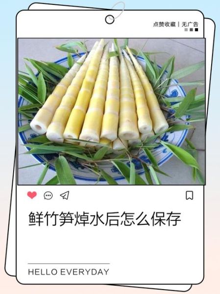 鲜笋怎么处理才不涩味_鲜笋去涩味最快的方法-第3张图片-山城妙识 鲜笋怎么处理才不涩味_鲜笋去涩味最快的方法-第3张图片-山城妙识