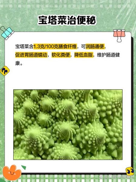 宝塔菜怎么种_宝塔菜种植图片详解-第3张图片-山城妙识 宝塔菜怎么种_宝塔菜种植图片详解-第3张图片-山城妙识