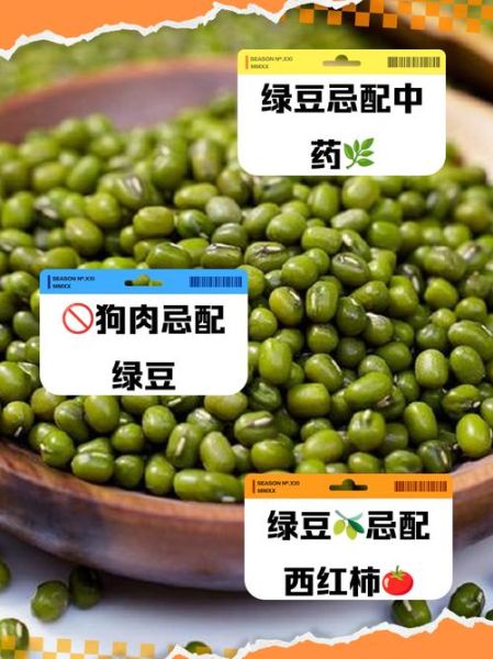 绿豆不能和什么一起吃_绿豆相克食物有哪些-第3张图片-山城妙识