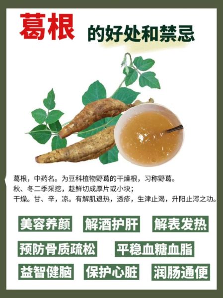 粉葛不能和什么一起吃_粉葛的禁忌人群有哪些-第1张图片-山城妙识