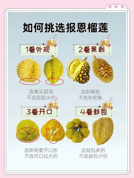 如何挑选榴莲_榴莲怎么选才好吃-第1张图片-山城妙识 如何挑选榴莲_榴莲怎么选才好吃-第1张图片-山城妙识