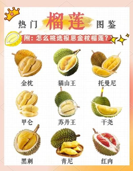 如何挑选榴莲_榴莲怎么选才好吃-第3张图片-山城妙识 如何挑选榴莲_榴莲怎么选才好吃-第3张图片-山城妙识