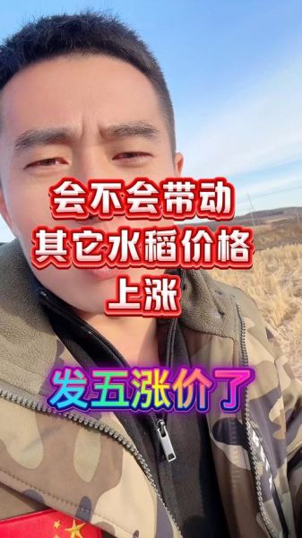 水稻价格走势_今年水稻多少钱一斤-第2张图片-山城妙识 水稻价格走势_今年水稻多少钱一斤-第2张图片-山城妙识