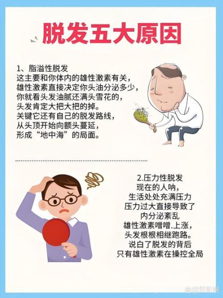 脱发怎么治疗效果好_脱发怎么恢复发量-第3张图片-山城妙识 脱发怎么治疗效果好_脱发怎么恢复发量-第3张图片-山城妙识