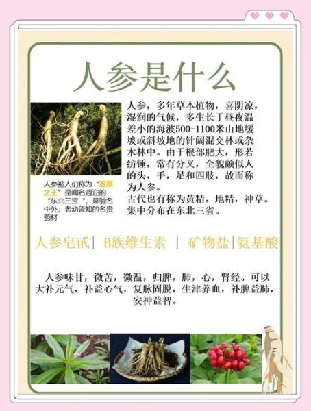 人参禁忌人群有哪些_八种人不能吃人参-第1张图片-山城妙识 人参禁忌人群有哪些_八种人不能吃人参-第1张图片-山城妙识