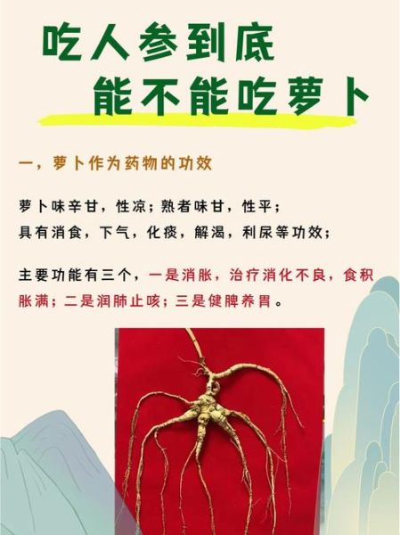 人参禁忌人群有哪些_八种人不能吃人参-第2张图片-山城妙识 人参禁忌人群有哪些_八种人不能吃人参-第2张图片-山城妙识