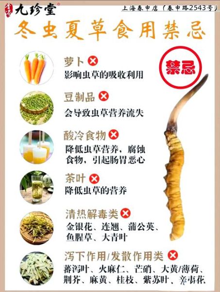 冬虫夏草什么人不能吃_禁忌人群有哪些-第1张图片-山城妙识 冬虫夏草什么人不能吃_禁忌人群有哪些-第1张图片-山城妙识