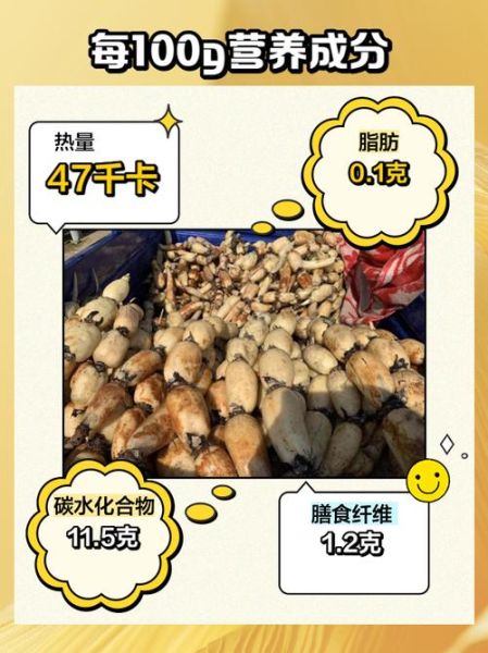 女人吃莲藕对卵巢好吗_莲藕对卵巢功能的好处-第1张图片-山城妙识 女人吃莲藕对卵巢好吗_莲藕对卵巢功能的好处-第1张图片-山城妙识