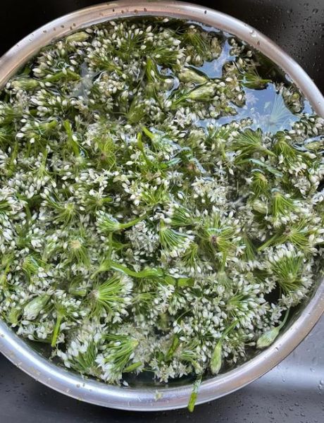 韭菜花酱怎么吃_韭菜花酱可以做什么菜-第1张图片-山城妙识 韭菜花酱怎么吃_韭菜花酱可以做什么菜-第1张图片-山城妙识