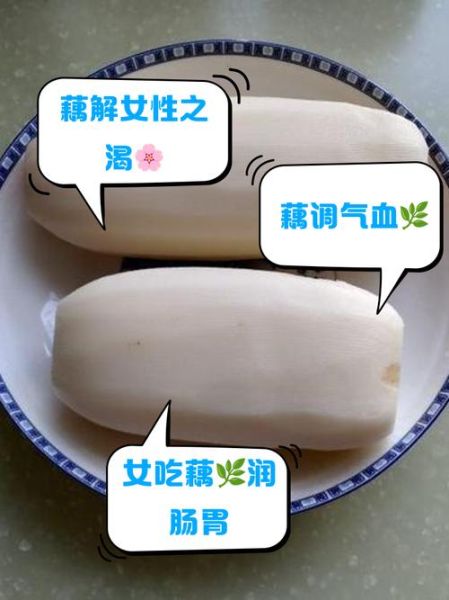 女人吃莲藕对卵巢好吗_莲藕对卵巢功能的好处-第2张图片-山城妙识 女人吃莲藕对卵巢好吗_莲藕对卵巢功能的好处-第2张图片-山城妙识
