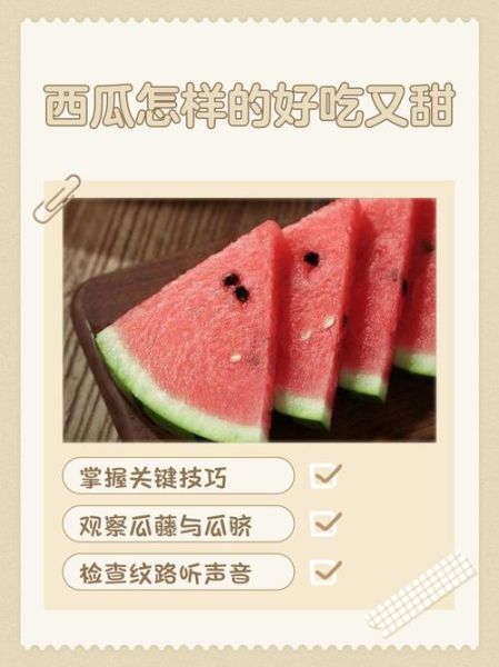 西瓜怎么挑_西瓜怎么吃最解暑-第1张图片-山城妙识 西瓜怎么挑_西瓜怎么吃最解暑-第1张图片-山城妙识