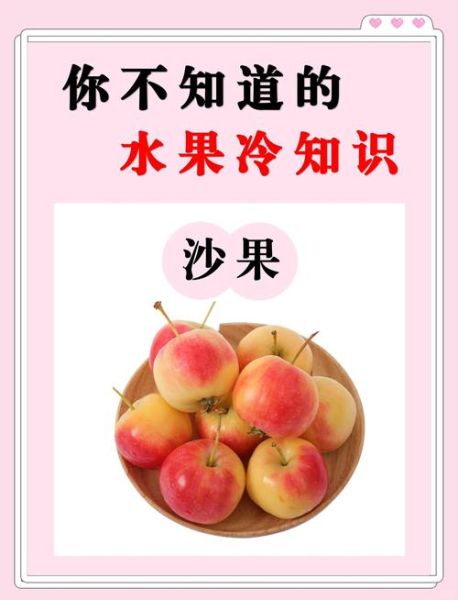 吃什么水果助消化_哪些水果促进肠胃消化-第3张图片-山城妙识 吃什么水果助消化_哪些水果促进肠胃消化-第3张图片-山城妙识