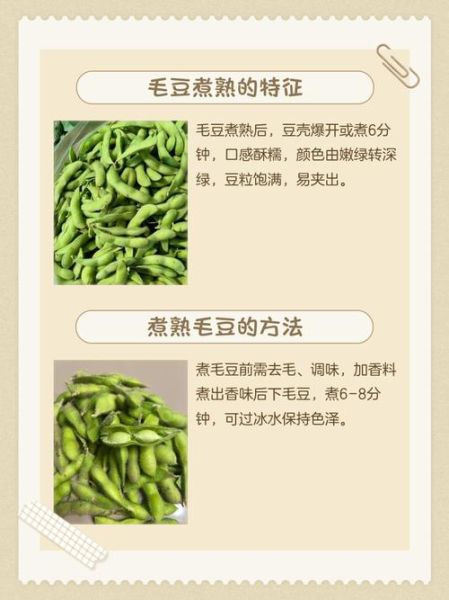 盐水毛豆煮多长时间_怎么判断毛豆熟没熟-第2张图片-山城妙识 盐水毛豆煮多长时间_怎么判断毛豆熟没熟-第2张图片-山城妙识