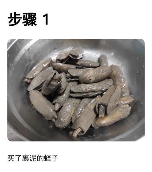 蛏子怎么吃_蛏子怎么清洗-第2张图片-山城妙识