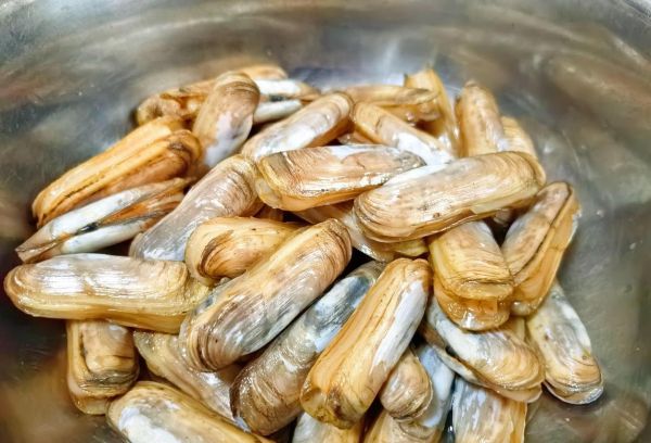 蛏子怎么吃_蛏子怎么清洗-第3张图片-山城妙识