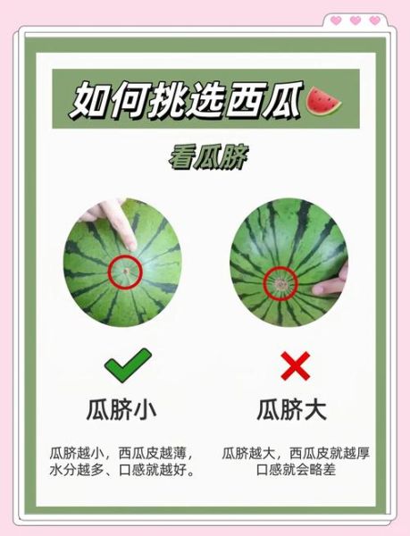 如何挑选西瓜小窍门_西瓜怎么挑才甜-第1张图片-山城妙识 如何挑选西瓜小窍门_西瓜怎么挑才甜-第1张图片-山城妙识