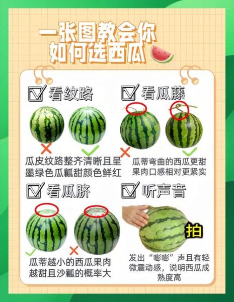 如何挑选西瓜小窍门_西瓜怎么挑才甜-第2张图片-山城妙识 如何挑选西瓜小窍门_西瓜怎么挑才甜-第2张图片-山城妙识