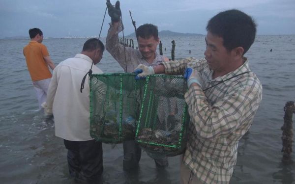 小池赶海在哪里_小池赶海怎么玩-第2张图片-山城妙识 小池赶海在哪里_小池赶海怎么玩-第2张图片-山城妙识