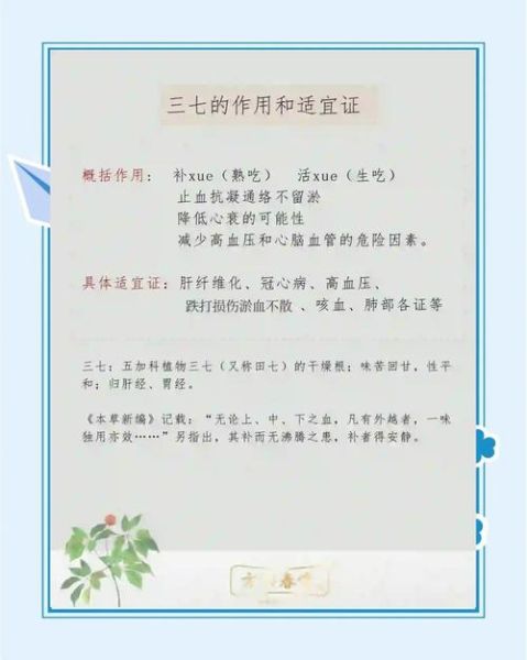 三七粉对肝脏有好处吗_三七粉护肝怎么吃-第1张图片-山城妙识 三七粉对肝脏有好处吗_三七粉护肝怎么吃-第1张图片-山城妙识