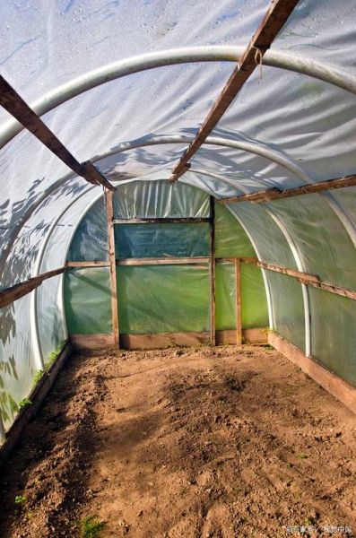 养鸽大棚怎么建_鸽子养殖大棚设计-第2张图片-山城妙识 养鸽大棚怎么建_鸽子养殖大棚设计-第2张图片-山城妙识