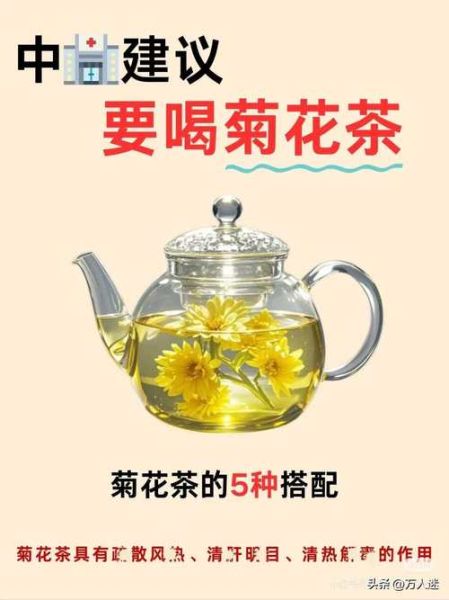 男人为什么不能喝菊花茶_菊花茶对男性健康的影响-第1张图片-山城妙识 男人为什么不能喝菊花茶_菊花茶对男性健康的影响-第1张图片-山城妙识