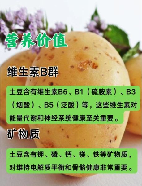 土豆热量高吗_土豆营养价值有哪些-第3张图片-山城妙识