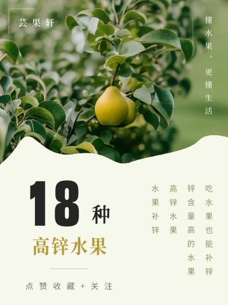 含锌高的水果有哪些_哪些水果补锌效果好-第1张图片-山城妙识 含锌高的水果有哪些_哪些水果补锌效果好-第1张图片-山城妙识