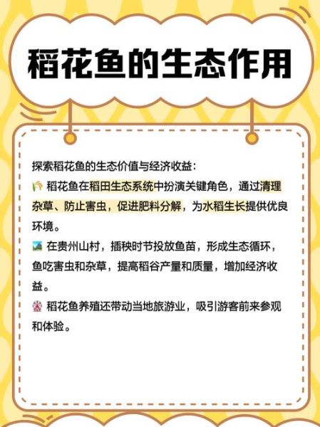 稻花鱼养殖方法_稻花鱼养殖技术要点-第1张图片-山城妙识