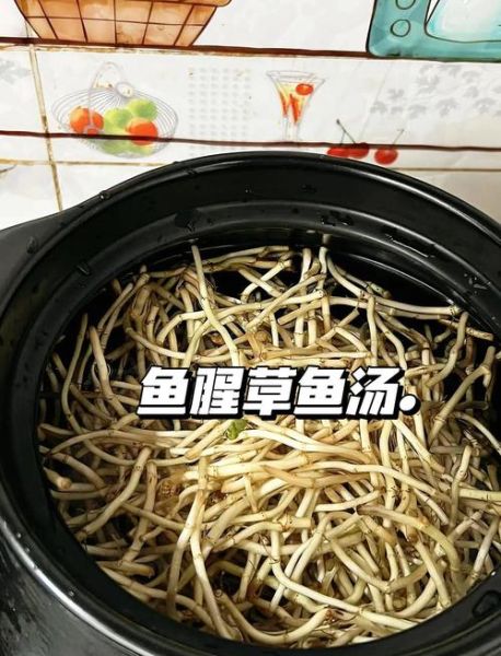 家庭炖鱼怎么做_炖鱼去腥技巧-第3张图片-山城妙识 家庭炖鱼怎么做_炖鱼去腥技巧-第3张图片-山城妙识