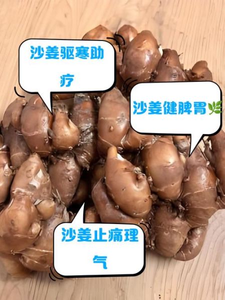 沙姜致癌是真的吗_沙姜吃多了会致癌吗-第1张图片-山城妙识 沙姜致癌是真的吗_沙姜吃多了会致癌吗-第1张图片-山城妙识