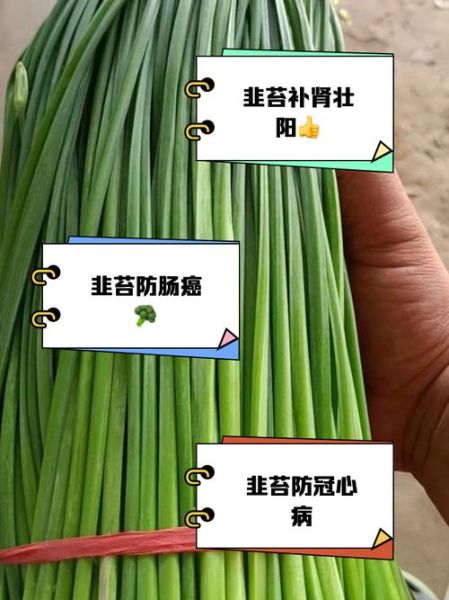 韭菜苔是发物吗_哪些人不能吃韭菜苔-第1张图片-山城妙识 韭菜苔是发物吗_哪些人不能吃韭菜苔-第1张图片-山城妙识