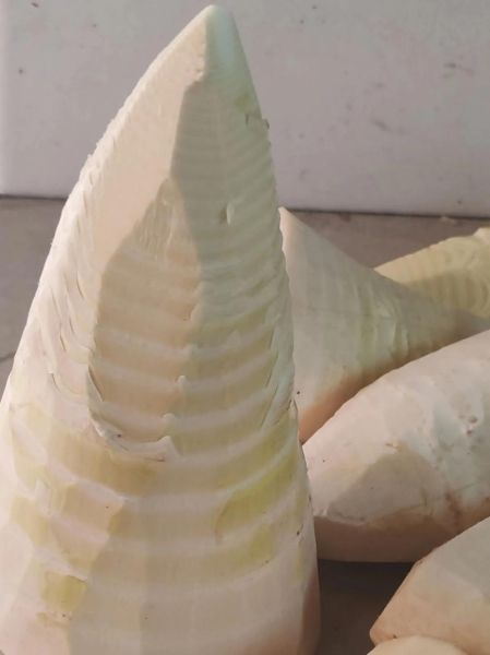 毛竹笋干怎么泡发_毛竹笋干多少钱一斤-第1张图片-山城妙识 毛竹笋干怎么泡发_毛竹笋干多少钱一斤-第1张图片-山城妙识