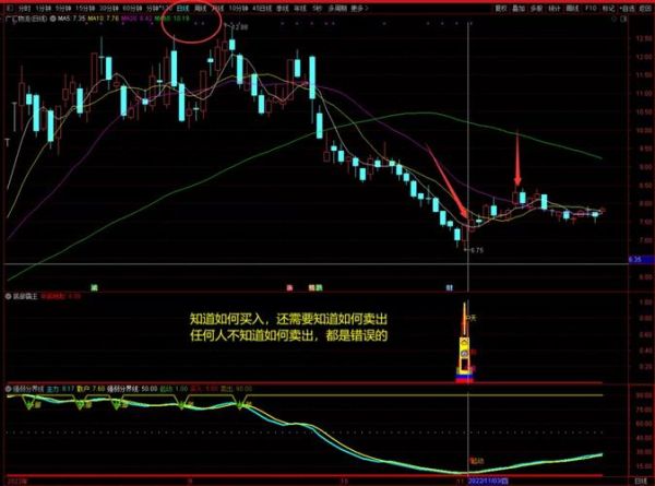 霸王集团股票怎么样_值得长期持有吗-第2张图片-山城妙识