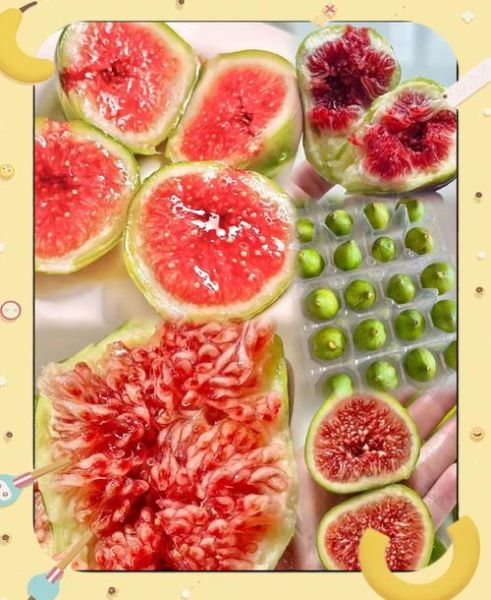 无花果可以带皮吃吗_无花果皮能吃吗-第3张图片-山城妙识 无花果可以带皮吃吗_无花果皮能吃吗-第3张图片-山城妙识